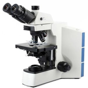 BIOLOGICAL MICROSCOPES Archives - Quasmo Microsope